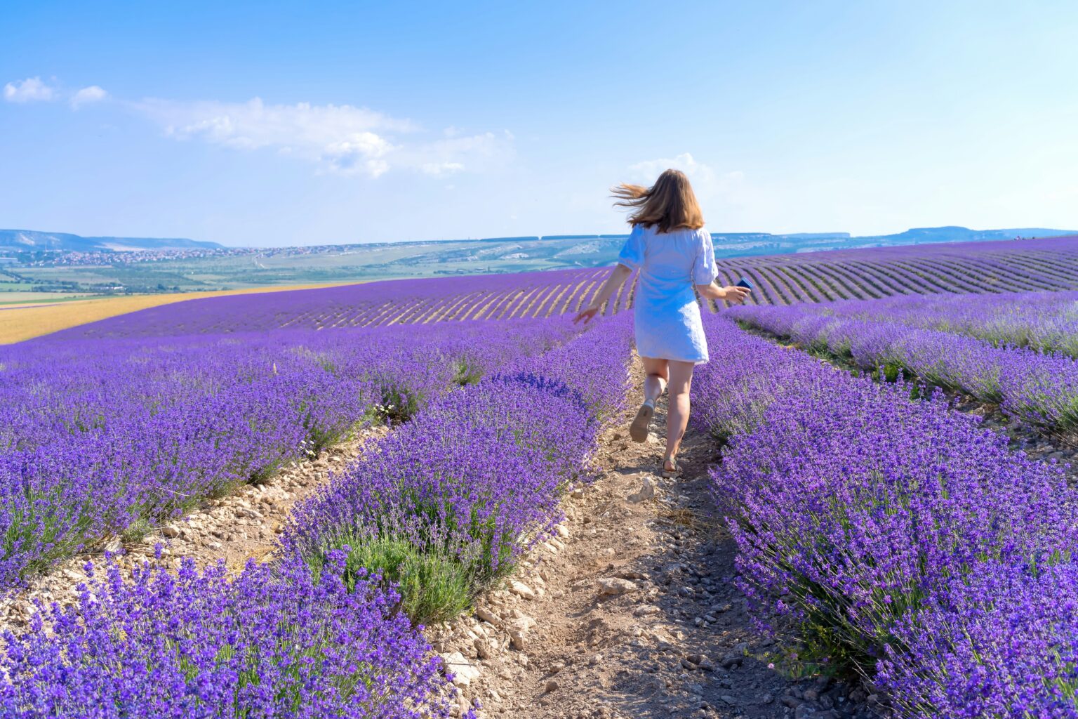 The French Way : Relocation and Expat Support Agency in France
